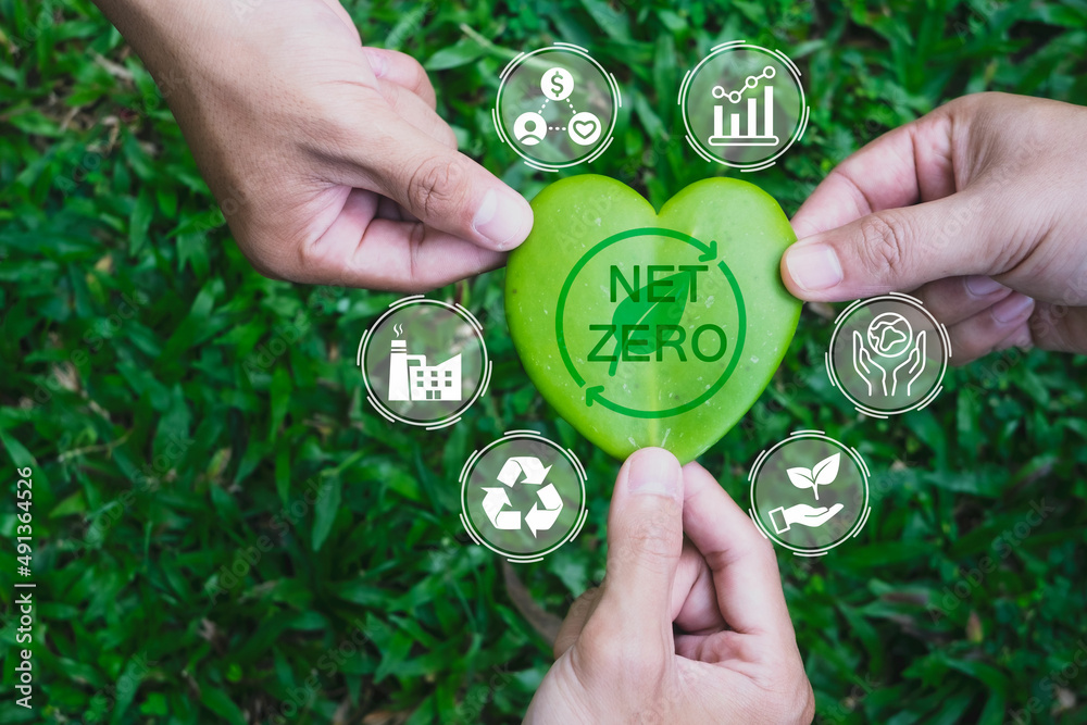 Net zero and carbon neutral concept. Hands adult Teamwork harmony ...