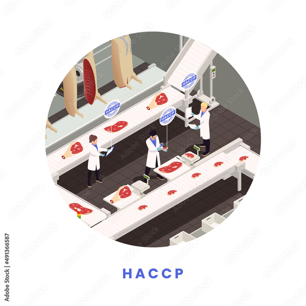 HACCP Food Safety Concept Stock Vector | Adobe Stock