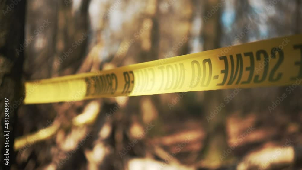 Crime scene in the woods. Taped and cornered off area with Crime Scene ...