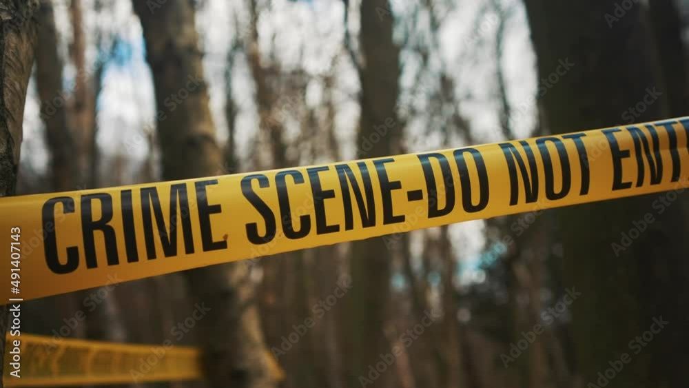 Crime scene in the woods. Taped and cornered off area with Crime Scene Tape all around the crime ...