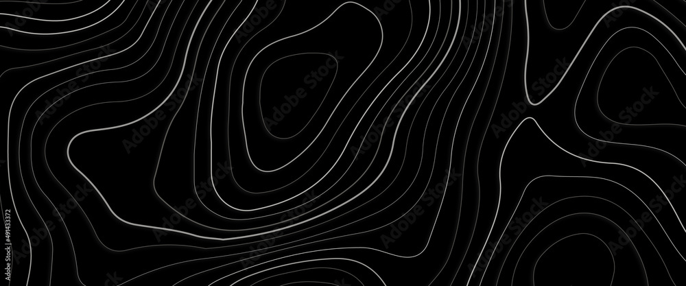 Topography Relief Vector Illustration Of Heights Map Topographic Backdrop Background Of The