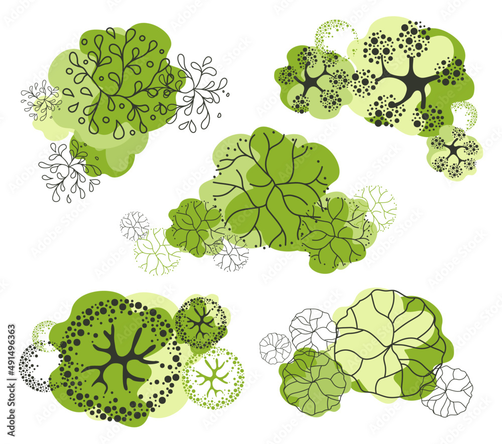 Trees for the master plan. Tree for architectural floor plans ...
