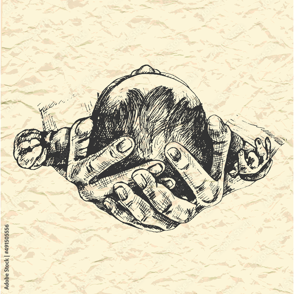 118_child's head in adult hands, top view_head of a child in the hands ...