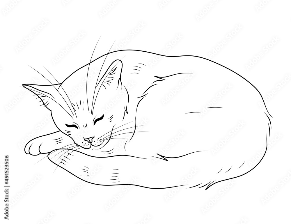 Cat. Cat illustration. Line art cat. Stock Illustration | Adobe Stock
