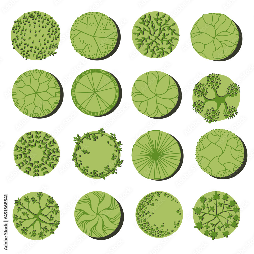 Trees for the master plan. Tree for architectural floor plans ...