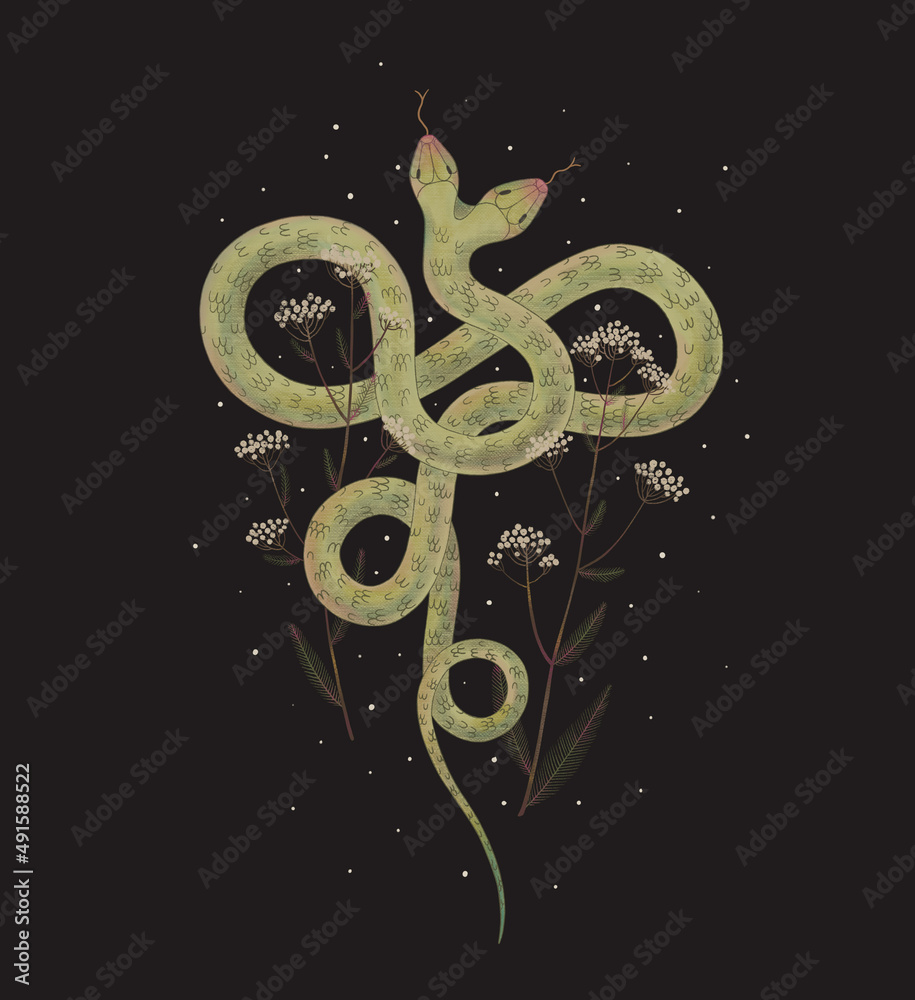 wild forest snake illustration with space elements and plants. magical ...