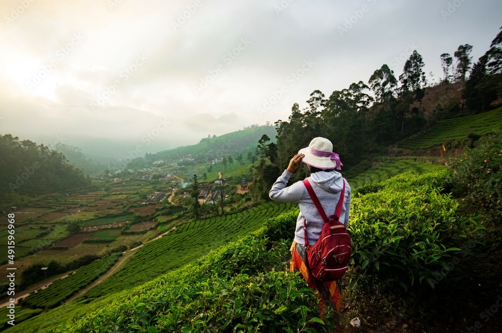 Munnar, January 2022. A photo taken at Munnar, Kerala while on the way ...