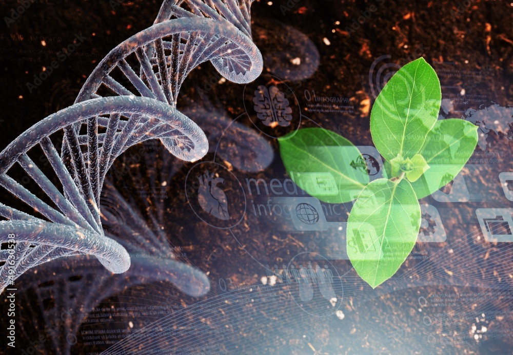 Leaf plant and environment research, DNA, Biology laboratory nature and ...