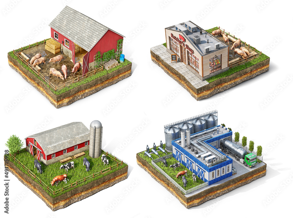 Set of different animal farms with pig and cow enclosures and different ...