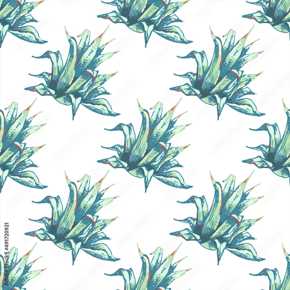 24_blue agave graphic colored blue agave, main ingredient of tequila ...