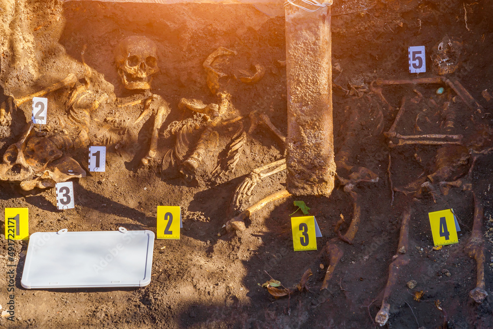 Human remains in the ground. Archaeological excavations of skulls and ...