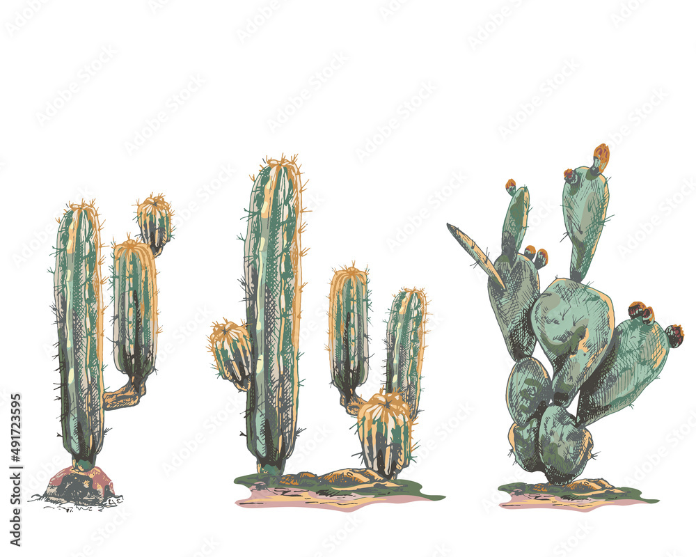 3_Desert Cactus set of cacti, sand, hand drawn vector illustration ...