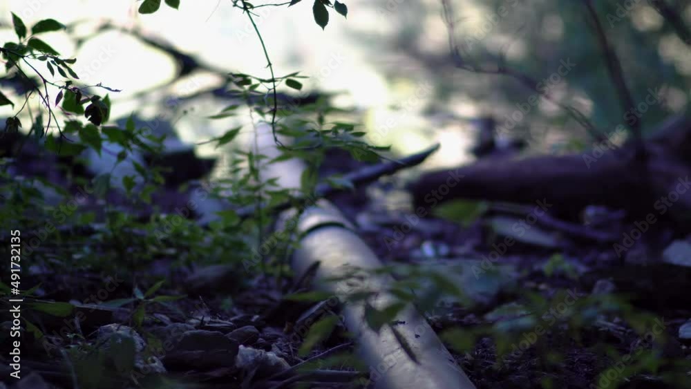 Stockvideo Water Drainage with water flowing into the river, lake ...