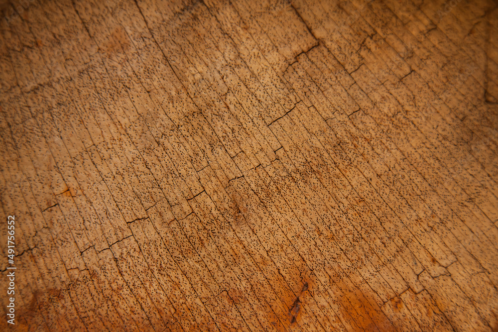 The texture of the iron tree. Background on a cut of wood. Stock Photo ...