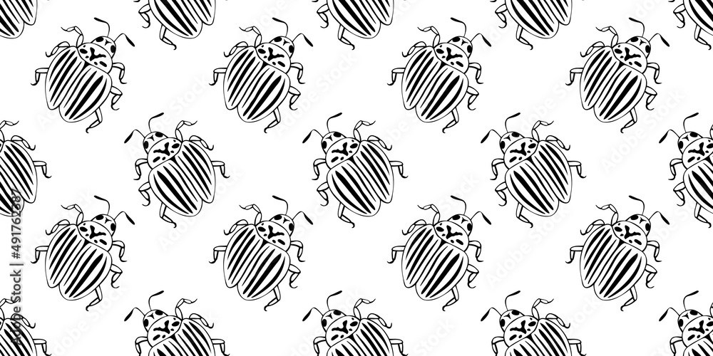 Vector seamless pattern of black outline colorado beetles in Doodle ...