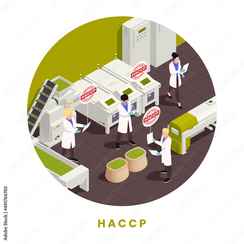 HACCP Food Safety Concept Stock Vector | Adobe Stock