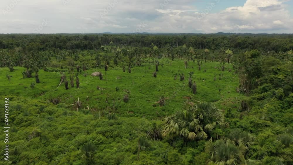 Video Stock Flying over natural asian rainforest with signs of ...