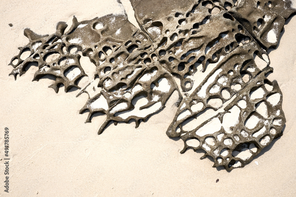 forms of nature theme. Abstract photo of the freaked mottled stone of a ...