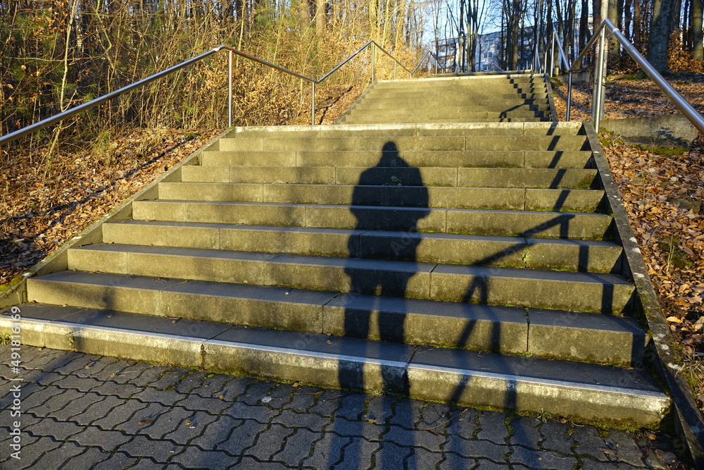Fascinating light and shadow play, mixed forest with colourful foliage ...