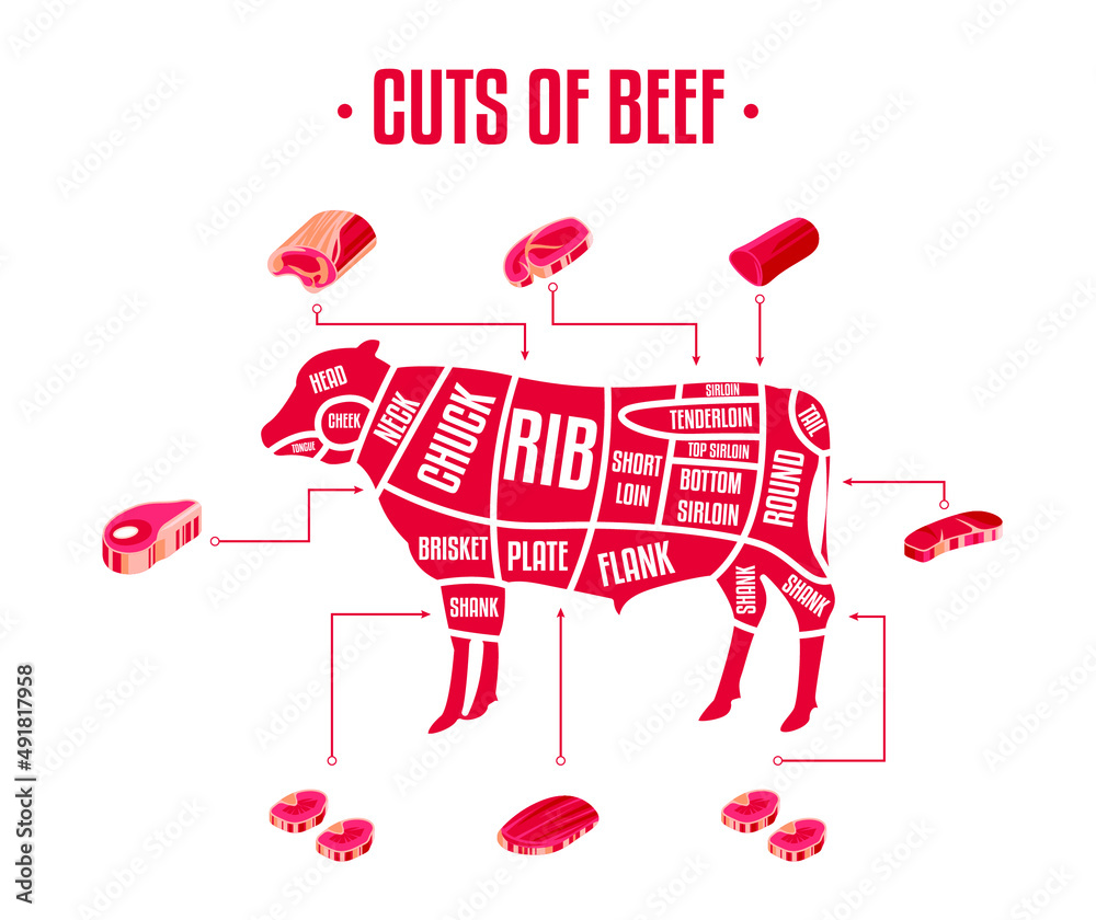 Meat and Beef cuts. Diagrams for butcher shop. Scheme of beef. Vector ...