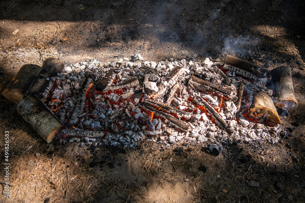 Spit on the ground fire, ready for smoking or roasting huge chunks of ...