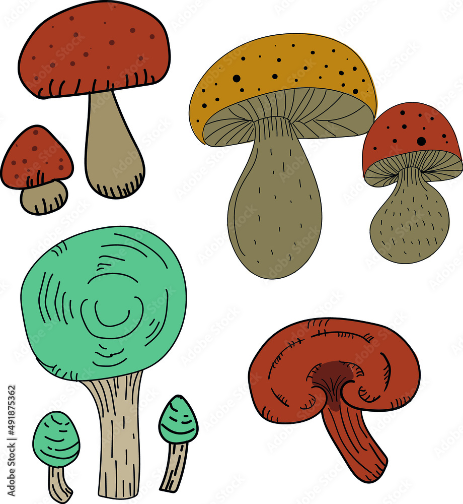 Vector drawing Set of mushroom types 2 Stock Vector | Adobe Stock