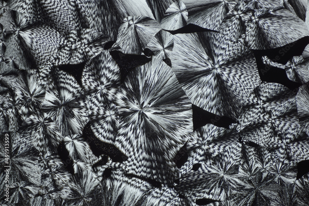 Micro crystals in polarized light. Photo through a microscope. Stock ...