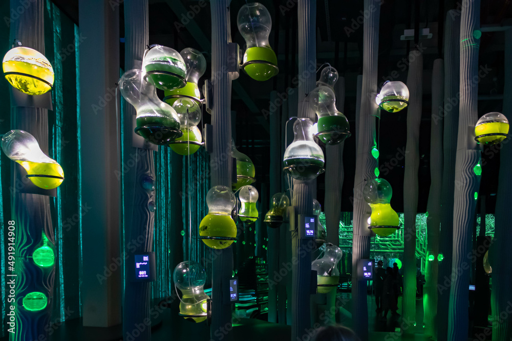 Microalgae against climate change in the Spain pavilion at Expo 2020 in ...