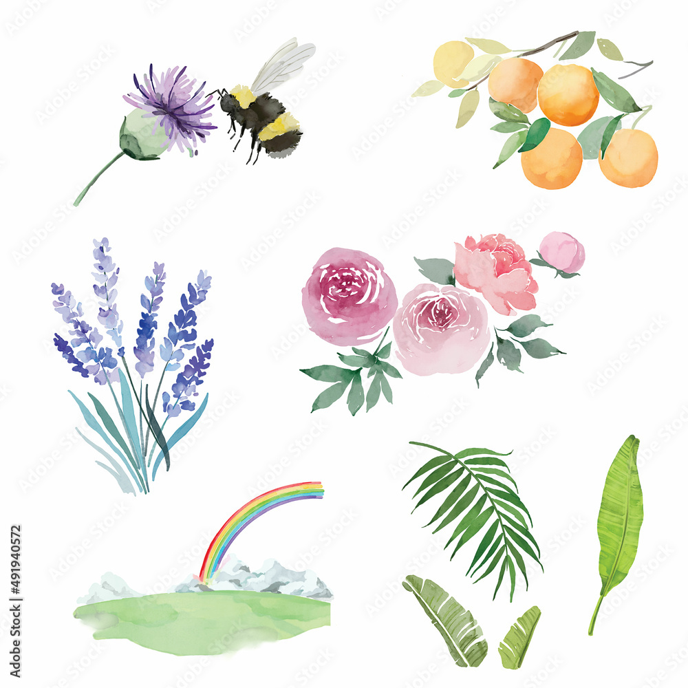 Watercolor clip art for summer and spring Stock Illustration | Adobe Stock