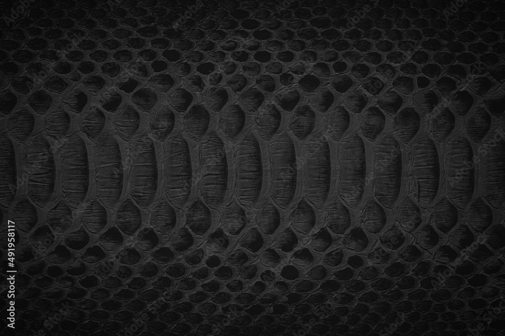 black snake skin texture, reptile leather as background Stock Photo ...