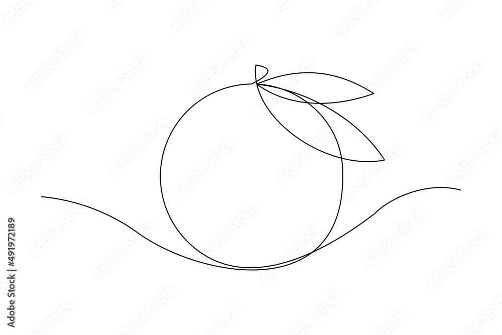 Continuous single one line drawing of orange tangerine summer fresh ...