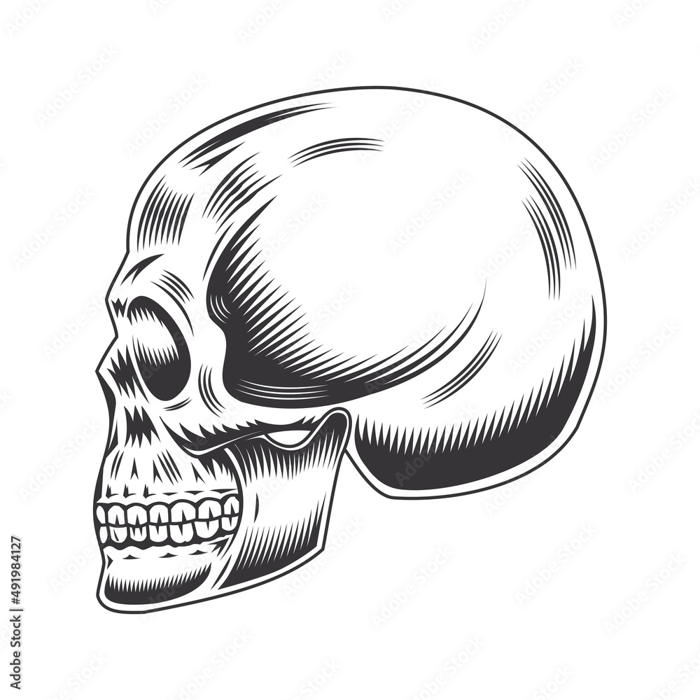 skull head side line art vintage tattoo or print design vector ...
