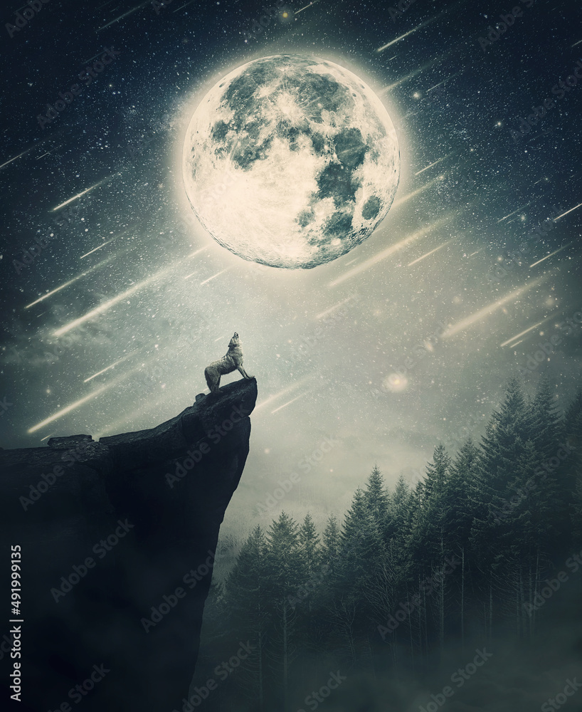 Howling wolf on the top of a cliff over night sky background with ...