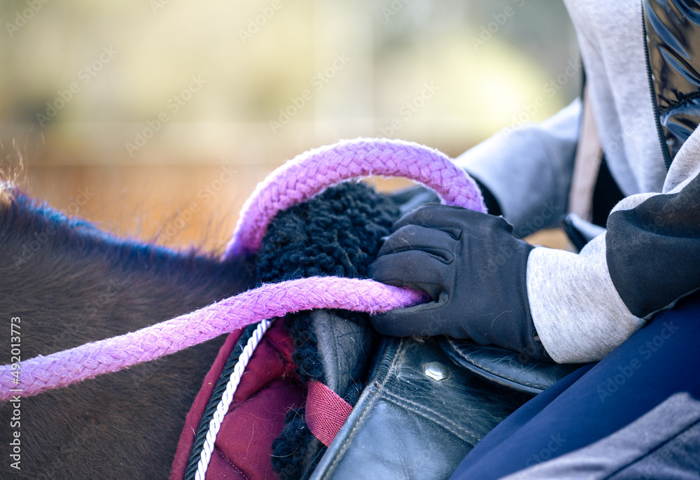 Horse riding. The rider in the saddle holds the reins, the rope. Close ...