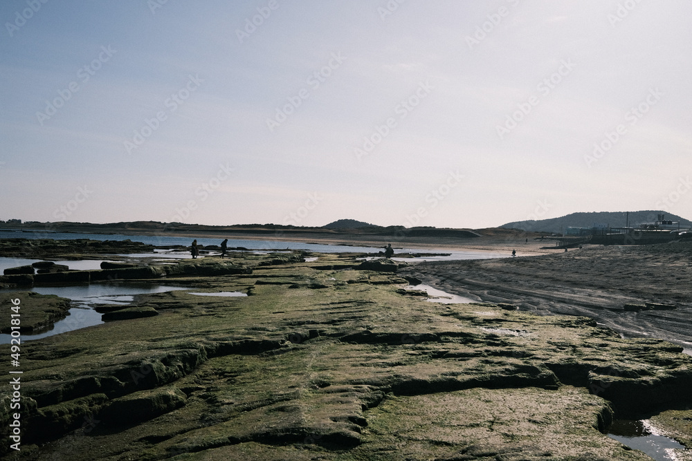 Beautiful scenery of Jeju Island, South Korea Stock Photo | Adobe Stock
