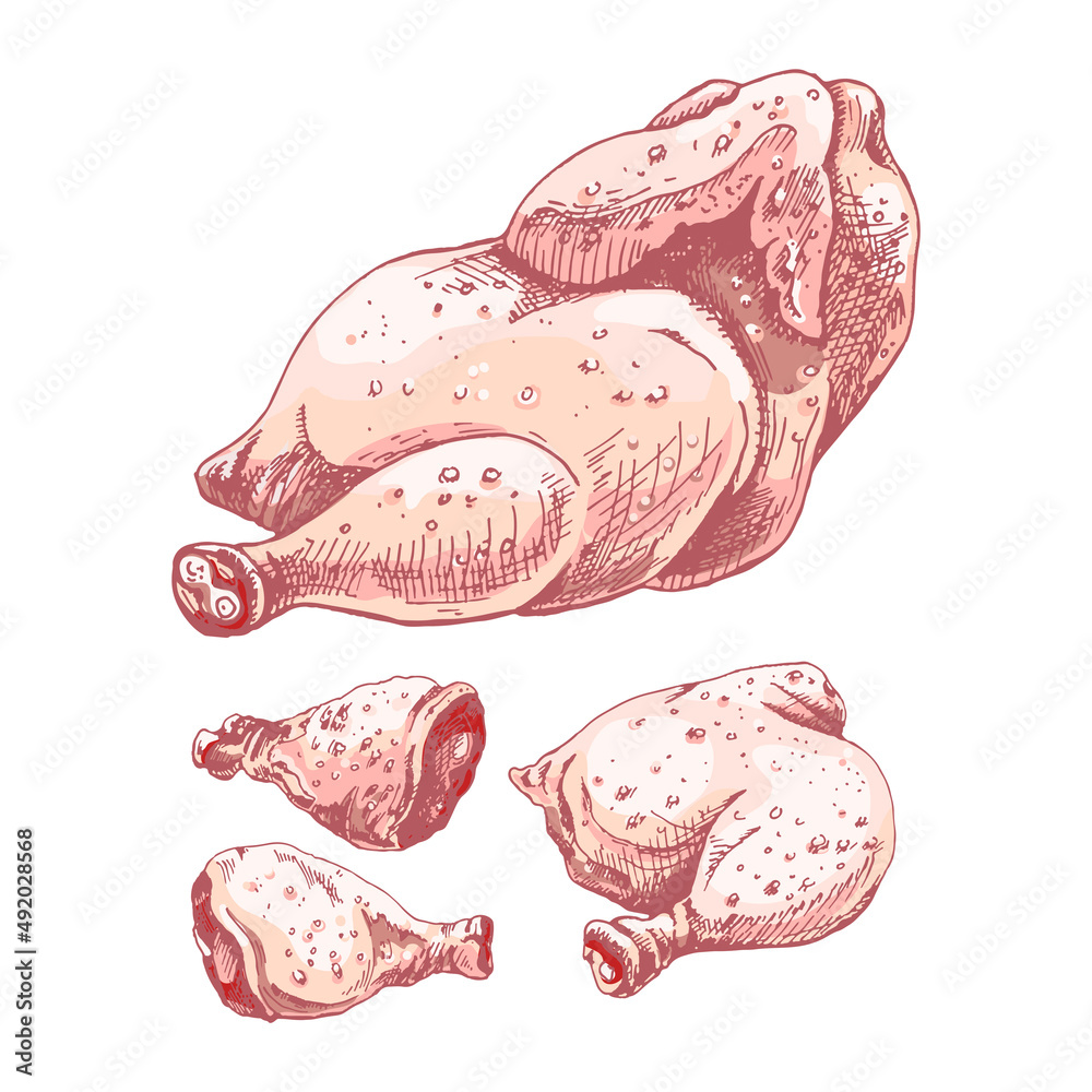 chicken meat natural chicken meat, hand-drawing, graphic image of ...