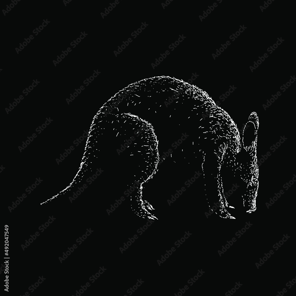 aardvark hand drawing vector illustration isolated on white background ...