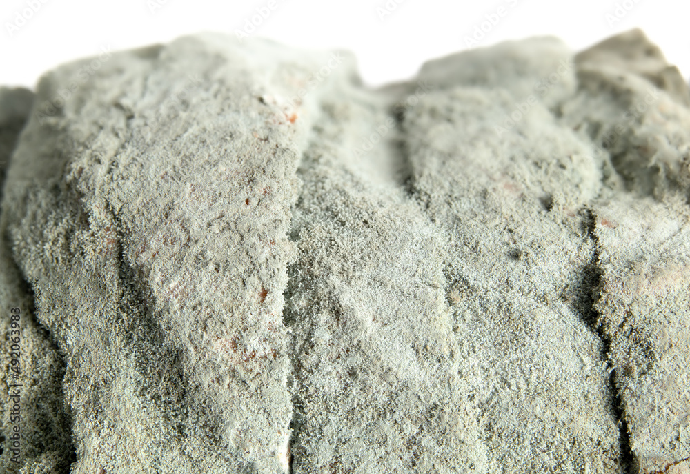 Moldy bread loaf, close up. Slices of bread covered with very fuzzy ...