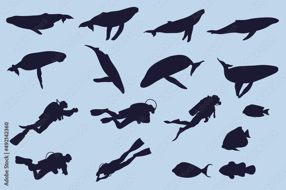 Sea elements set isolated on white. Ocean collection with fish, whales ...