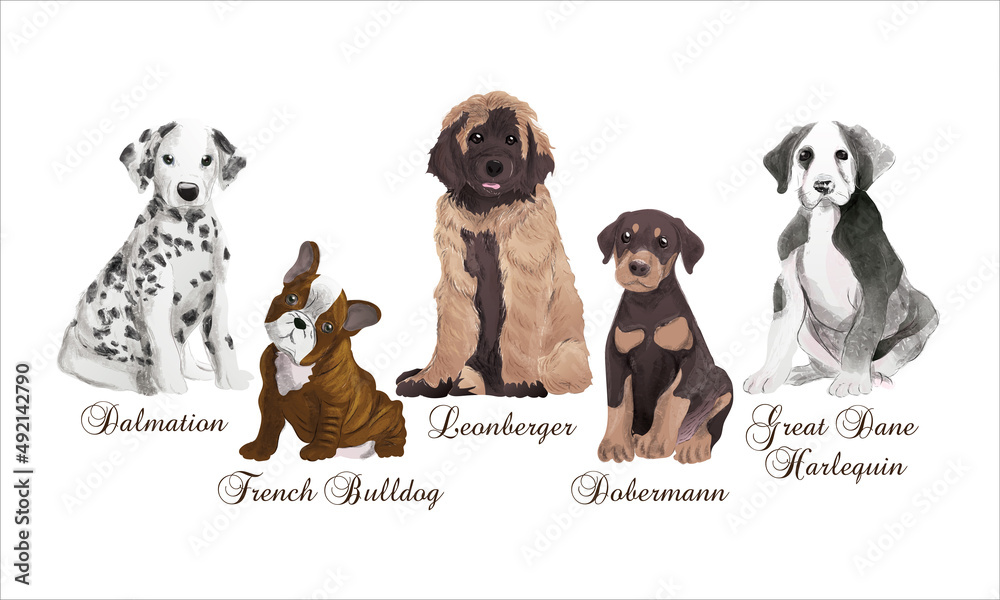 Set of dogs puppy portrait watercolor realistic vector illustration on ...