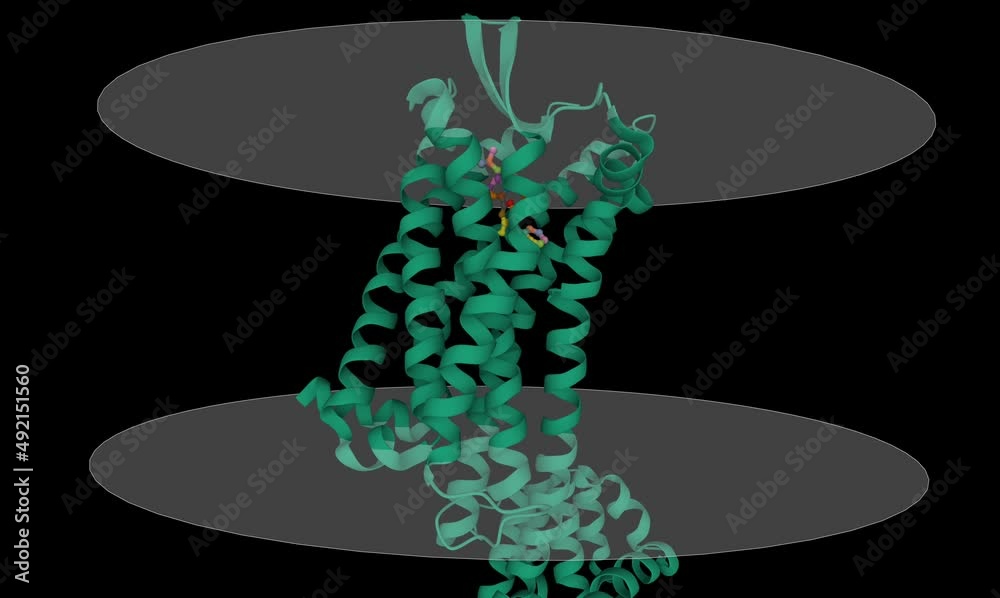 Human endothelin receptor type-B in complex with antagonist bosentan ...