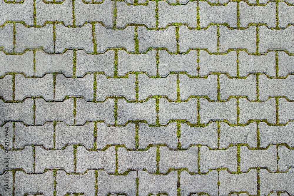Texture map. special shaped interlocking pavers and grass between the ...
