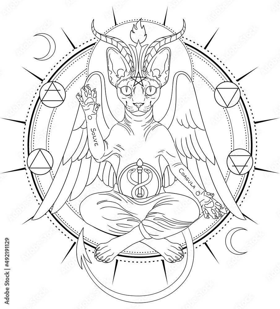 Sphynx cat in baphomet appearance with nature elements symbols. Solve ...