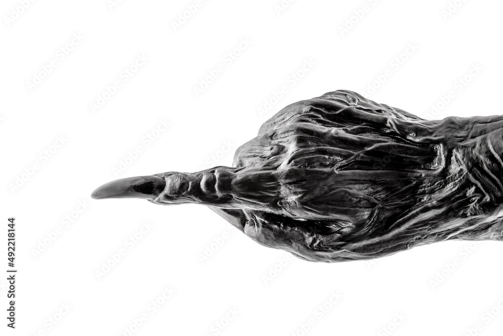 Creepy monster hand isolated on white background with clipping path ...