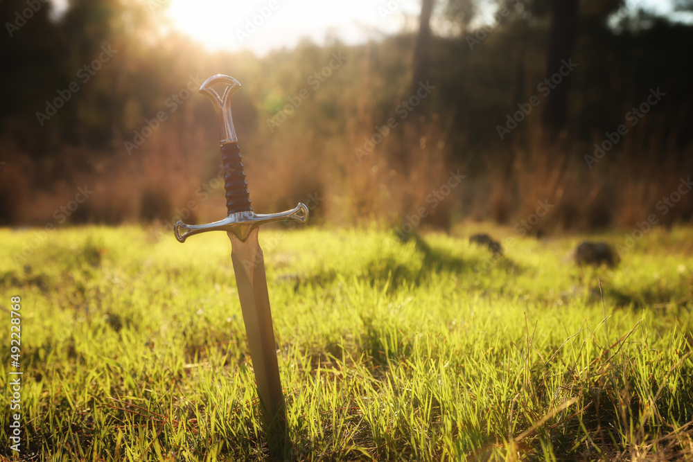 mysterious and magical photo of silver sword in the England woods and ...