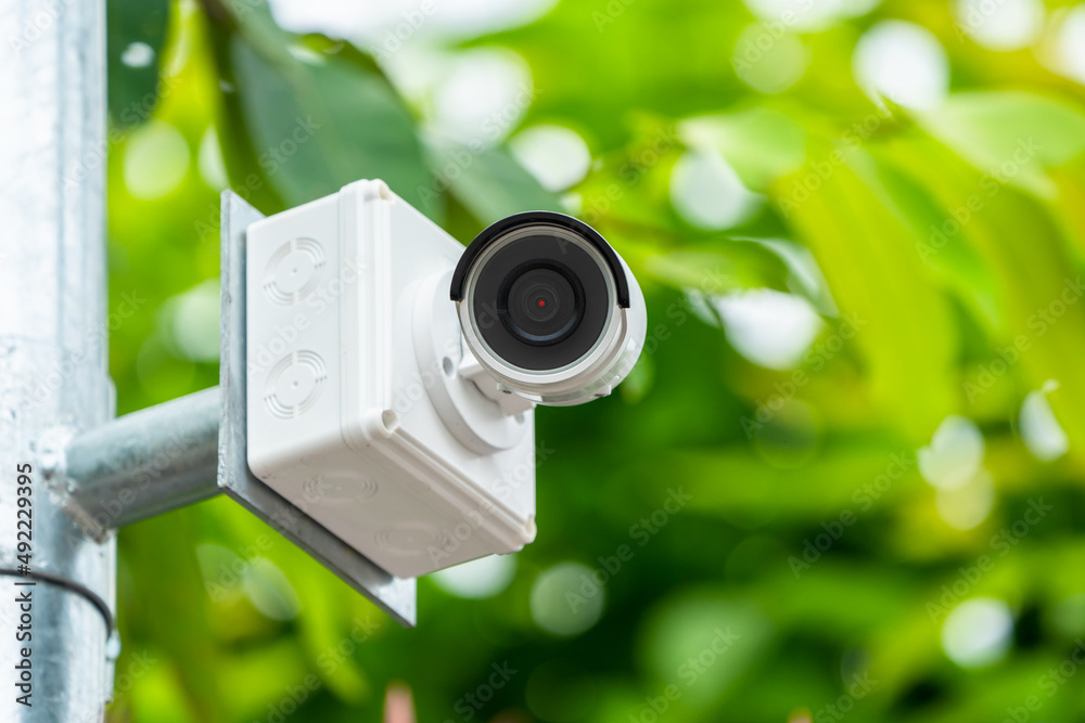 CCTV camera is installed in the garden with blur green tree background ...