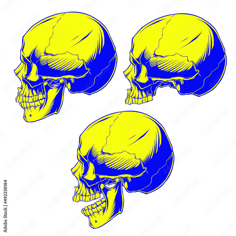 skull set facing side with a blue line with a yellow Stock Vector ...