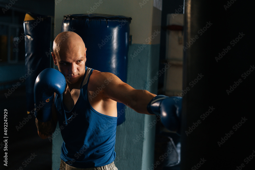 Serious bald boxer male training punches, beating punching bag in sport ...