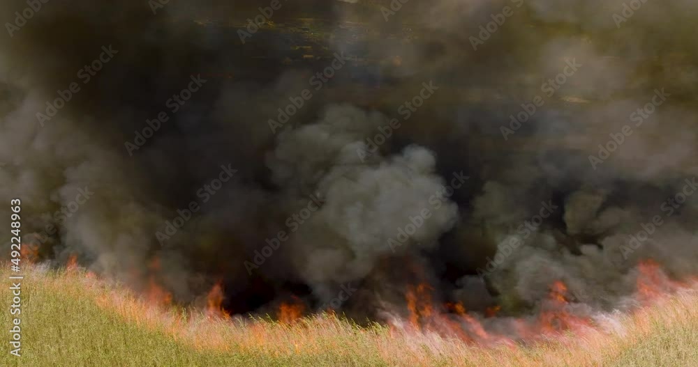 Climate emergency.Climate change. Global warming.Panning view of black ...