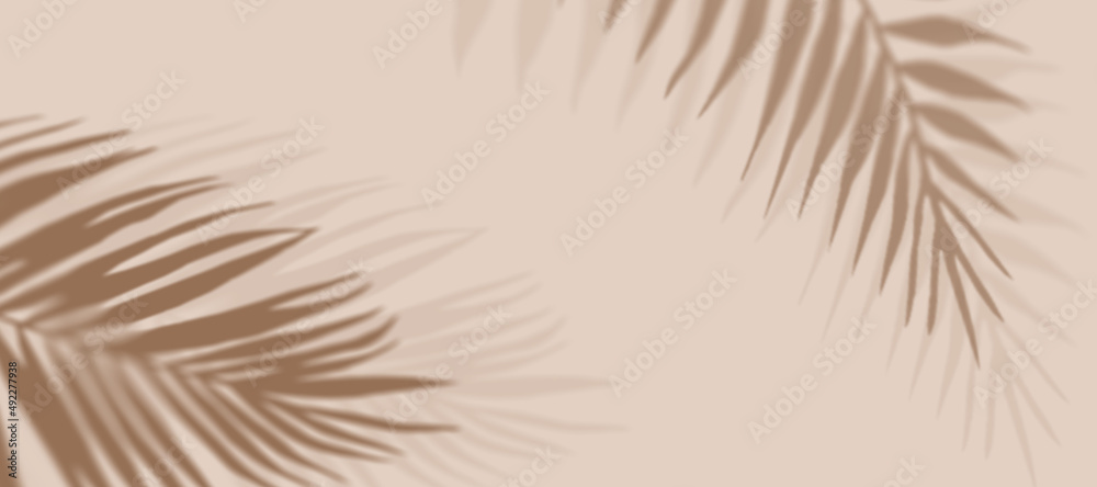 Tropical Leaf Shadow Background Design. Palm Neutral Creative Copyspace ...